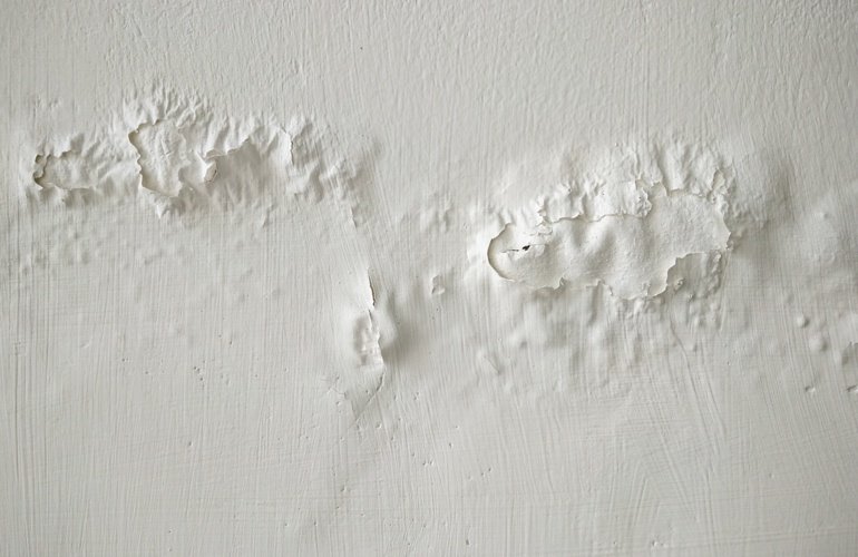 Wie erkennt man Salpeter im Haus?